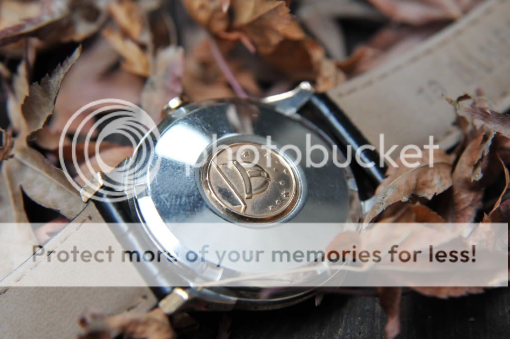 Lets see your Constellation casebacks >> | WatchUSeek Watch Forums