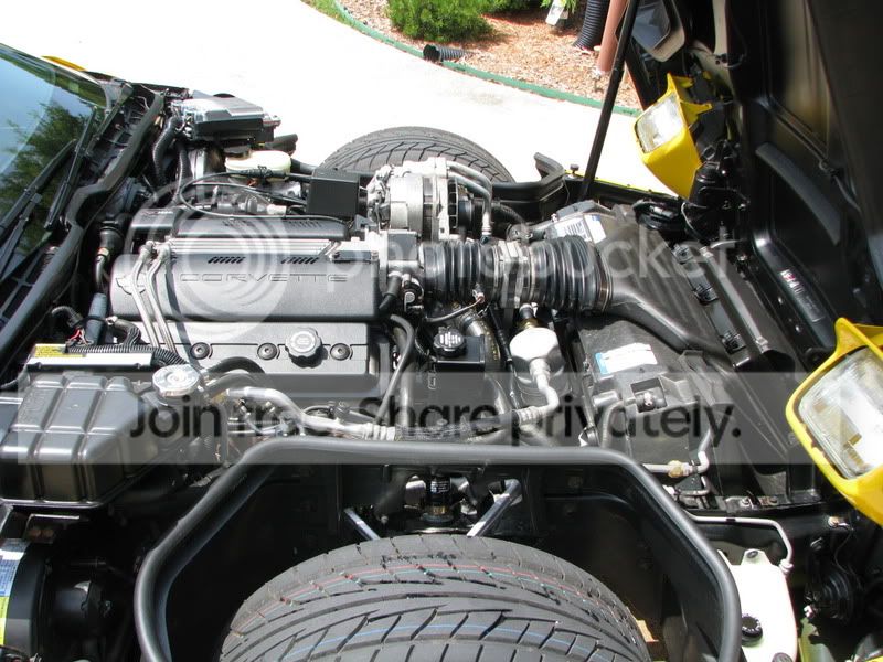 My '94 Competition Yellow Vert - CorvetteForum - Chevrolet Corvette ...