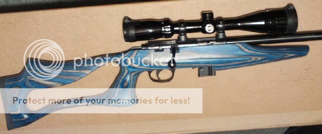 Evolution stock for Marlin 917 | Rimfire Central Firearm Forum