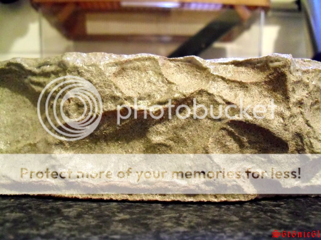 new corn snake viv | Reptile Forums