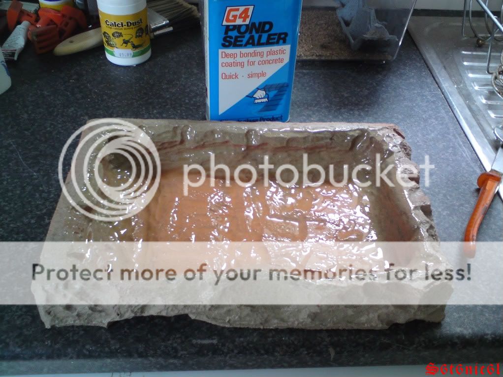 new corn snake viv | Reptile Forums