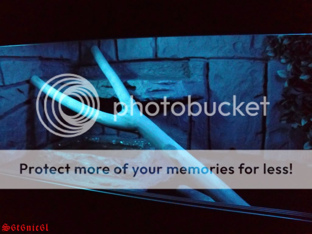 new corn snake viv | Reptile Forums